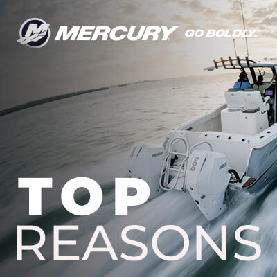 Top Reasons to Believe in Mercury