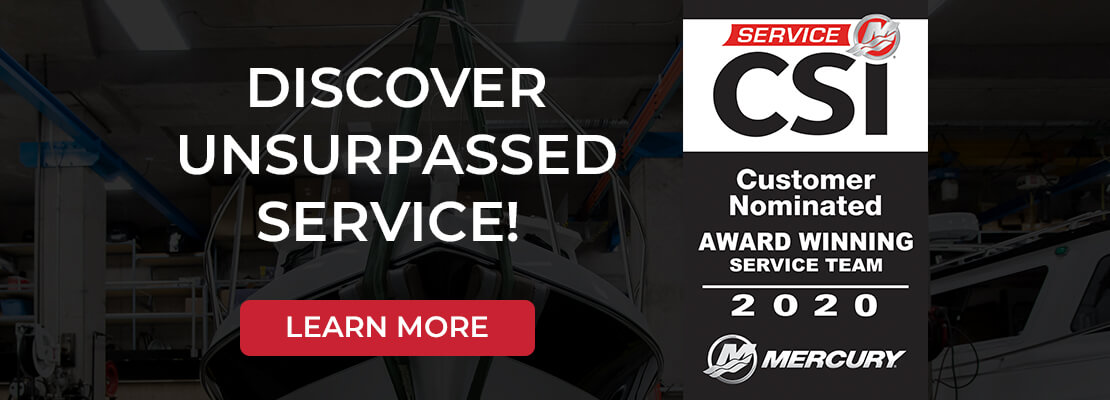 Mercury Service Award 2020 Winner